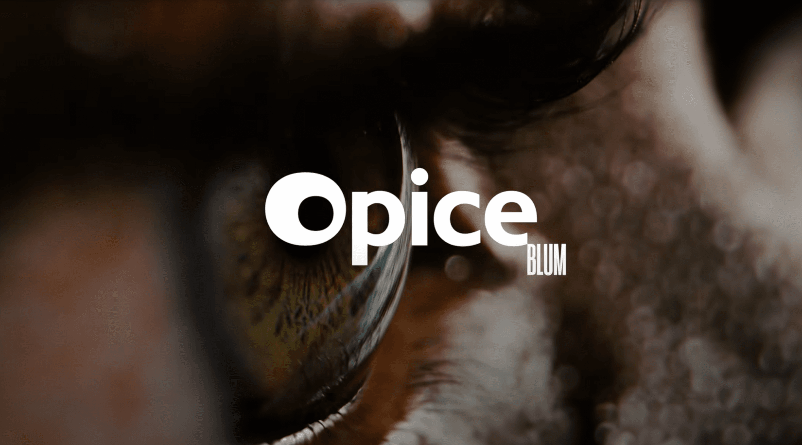 Opice Blum, Bruno Advogados Associados | Direito Digital